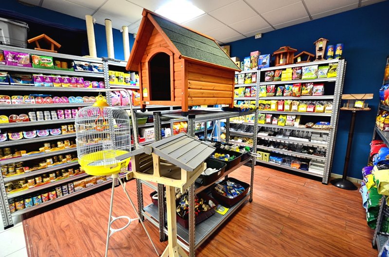 Pet store store