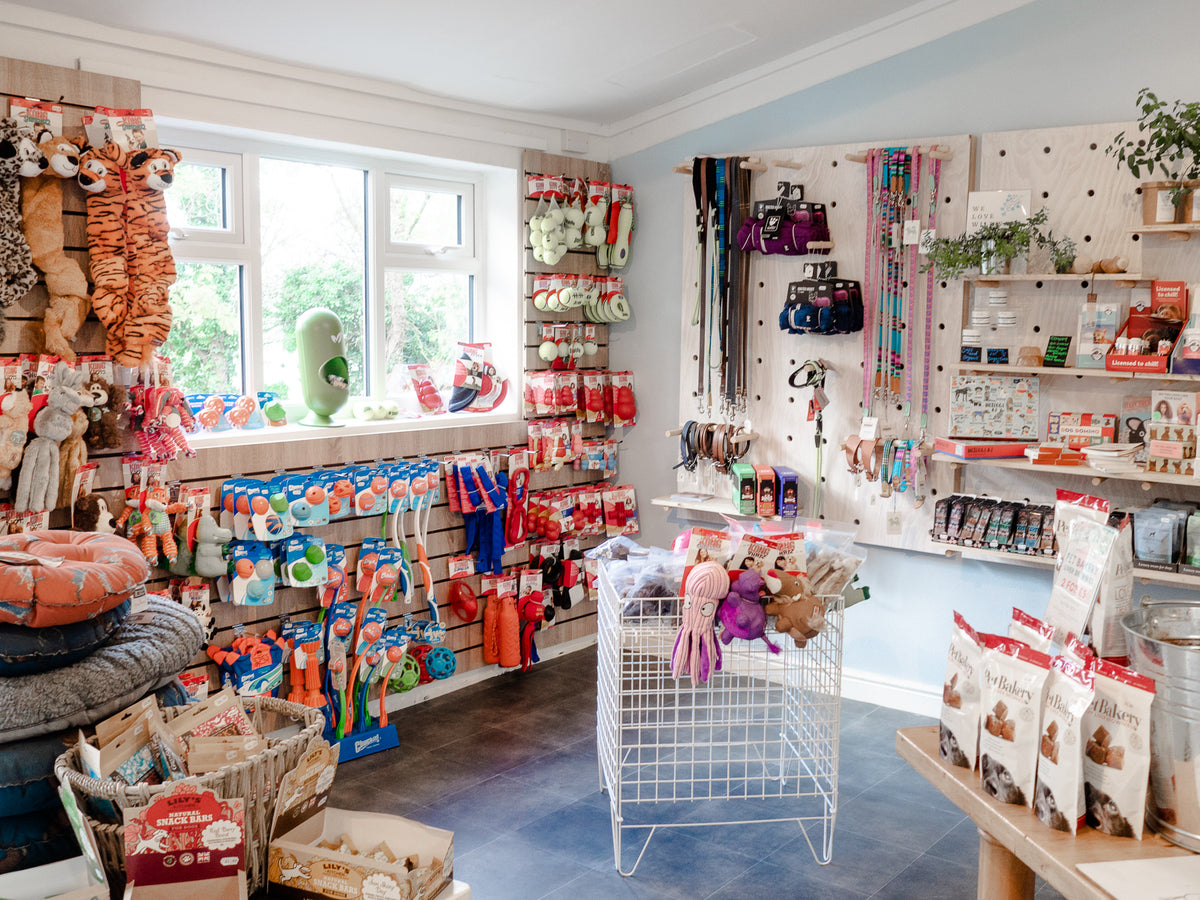 ¿Qué necesito para abrir una Pet Shop? - Pet Markt— Pet Markt Mexico